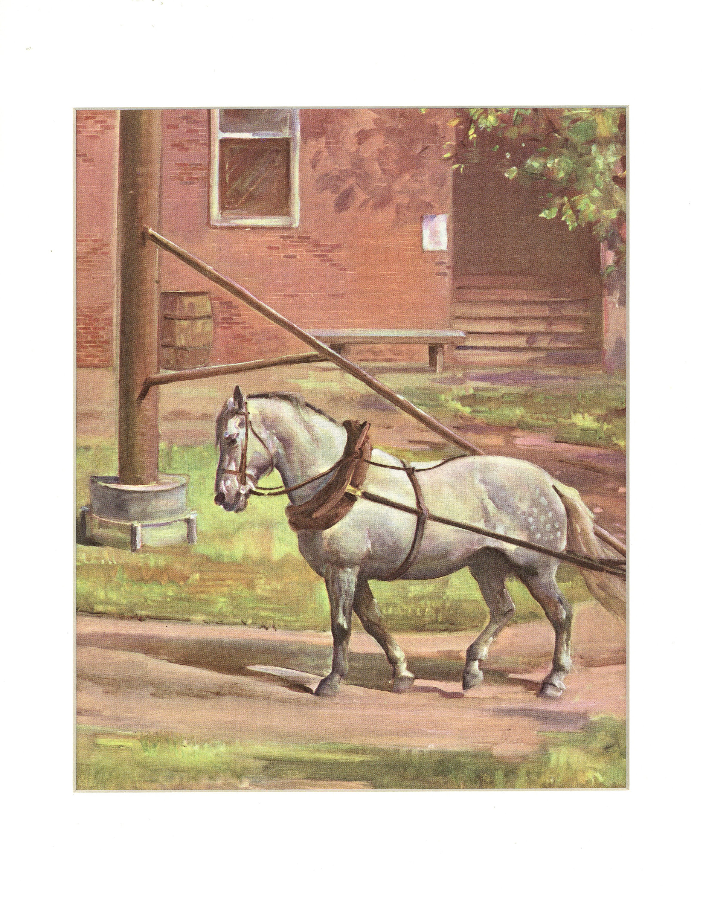 Vintage 1951 Album of Horses Illustrated Book Print the - Etsy