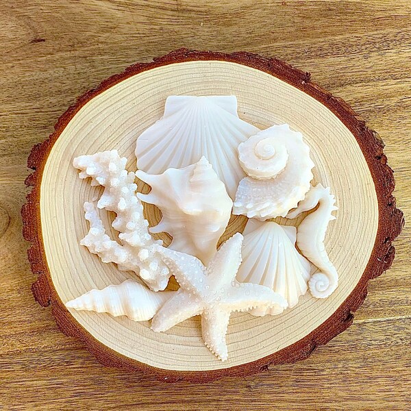 Sea Shell Soap - Etsy