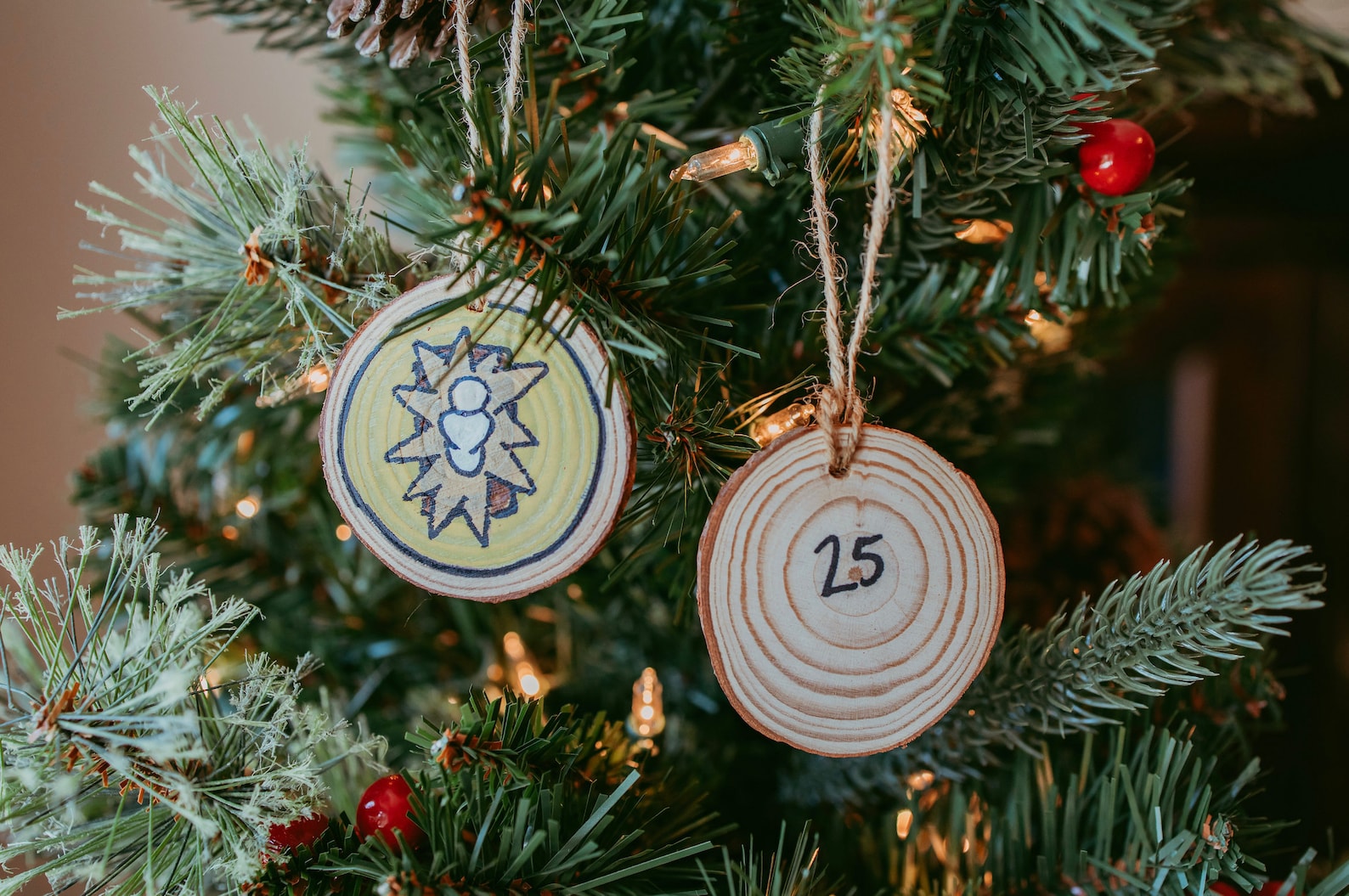 Hand Painted Jesse Tree Ornaments, Christian Advent Tradition - Etsy