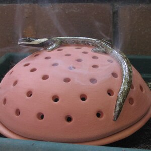Handmade Lizard Mosquito Coil Holder: Australian Outdoor Decor - Etsy ...