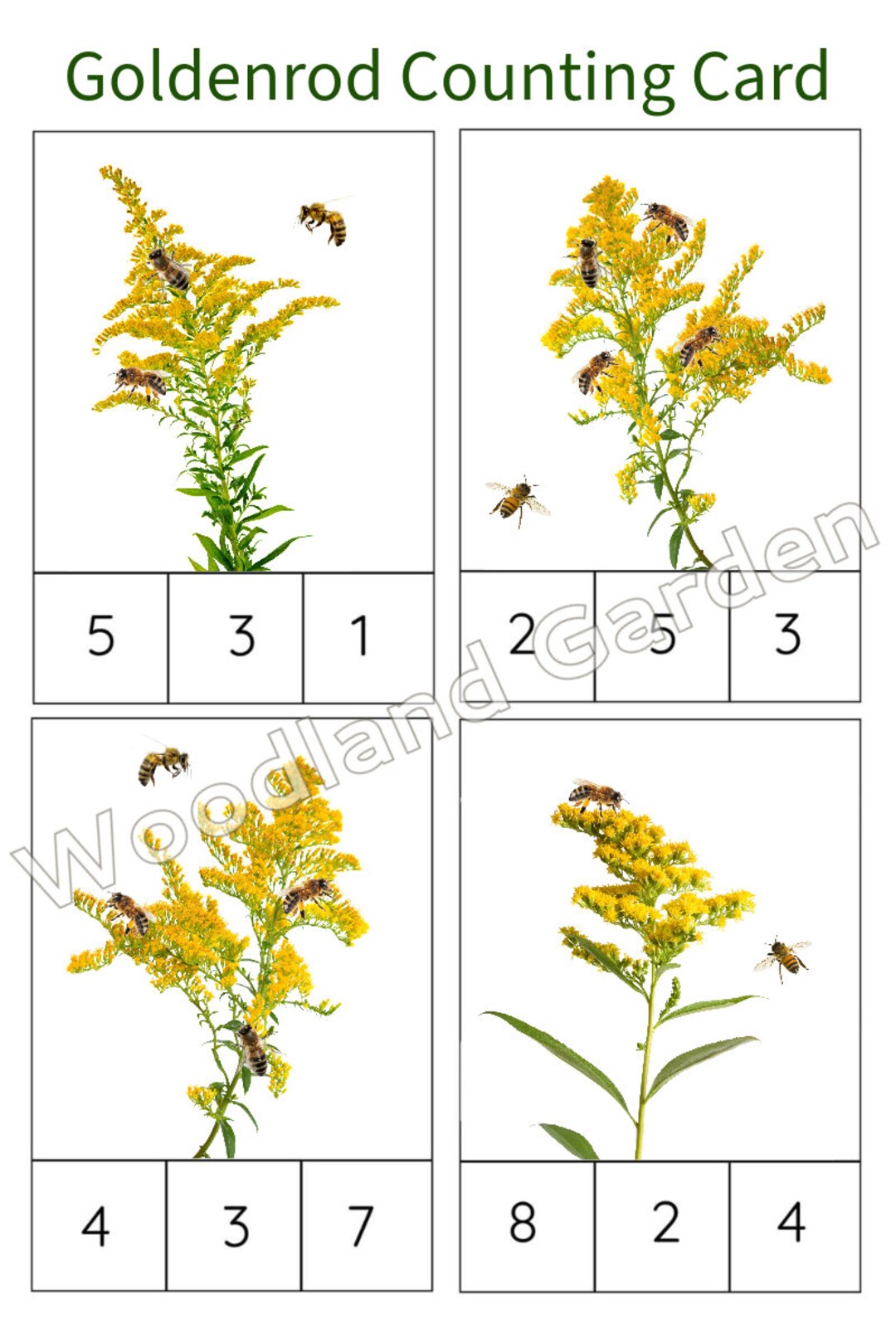Goldenrod Counting Cards - Etsy