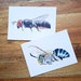 Queensland Postcard Set - Native Australian Bees | Mini Prints 4 Pack ...