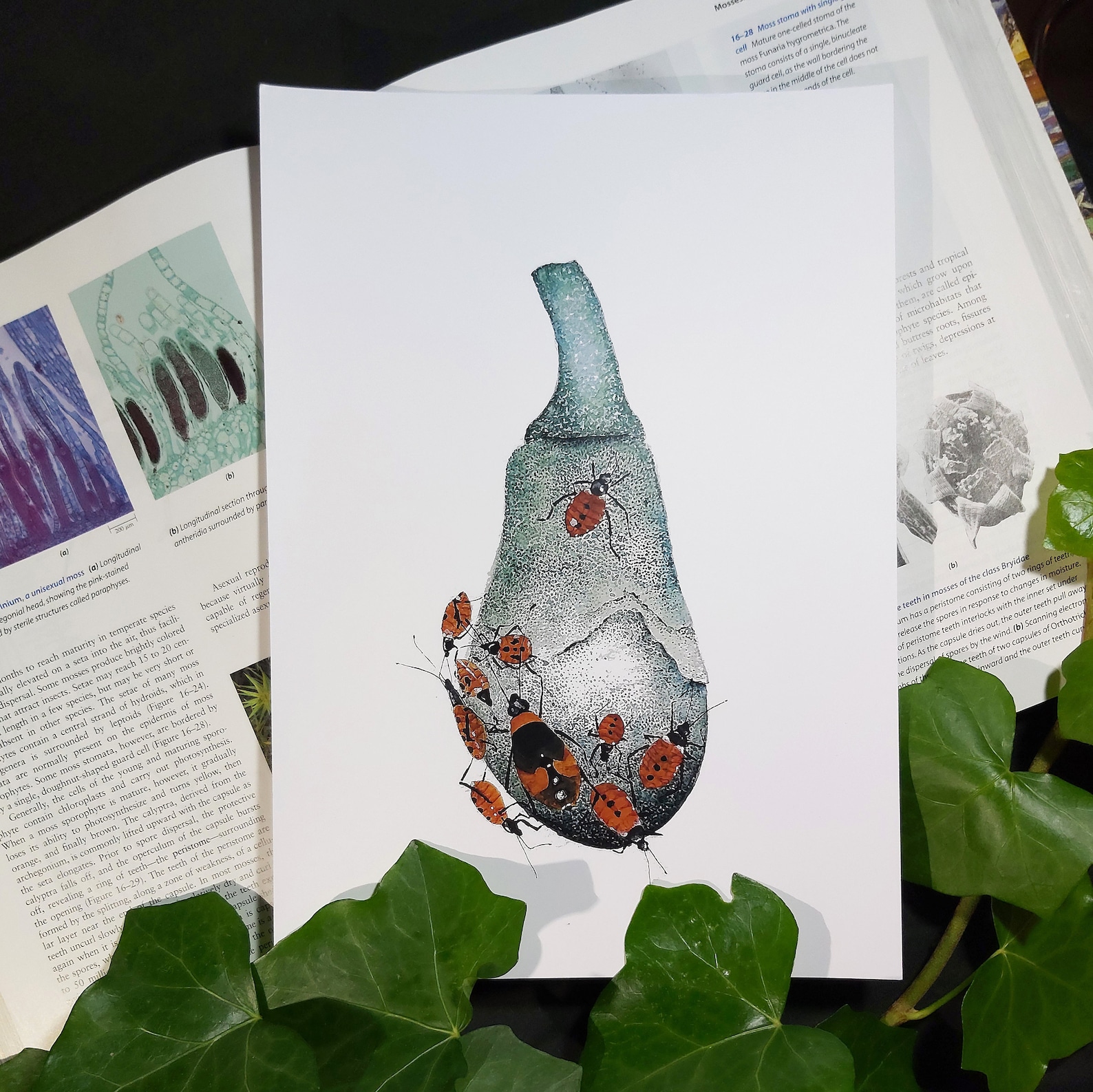 A4 Quality Art Print 100% Cotton Rag Paper 29.7 X 21cm - Etsy