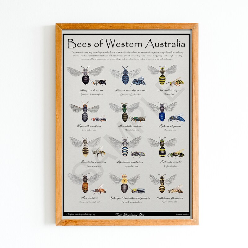 Scientific Bee Print - Etsy