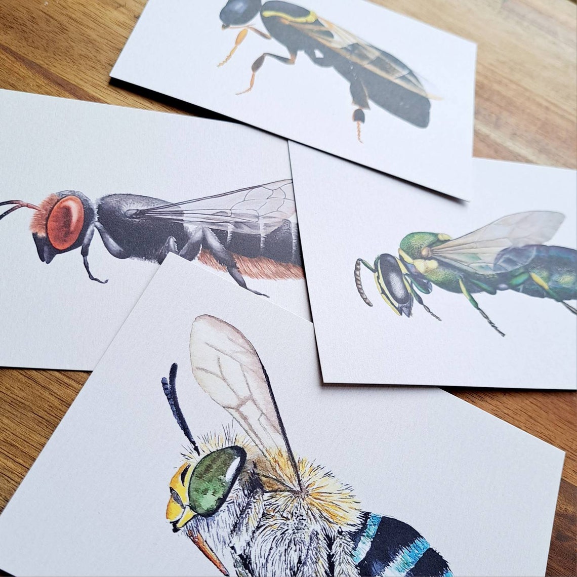 Queensland Postcard Set - Native Australian Bees | Mini Prints 4 Pack ...