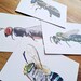 Queensland Postcard Set - Native Australian Bees | Mini Prints 4 Pack ...