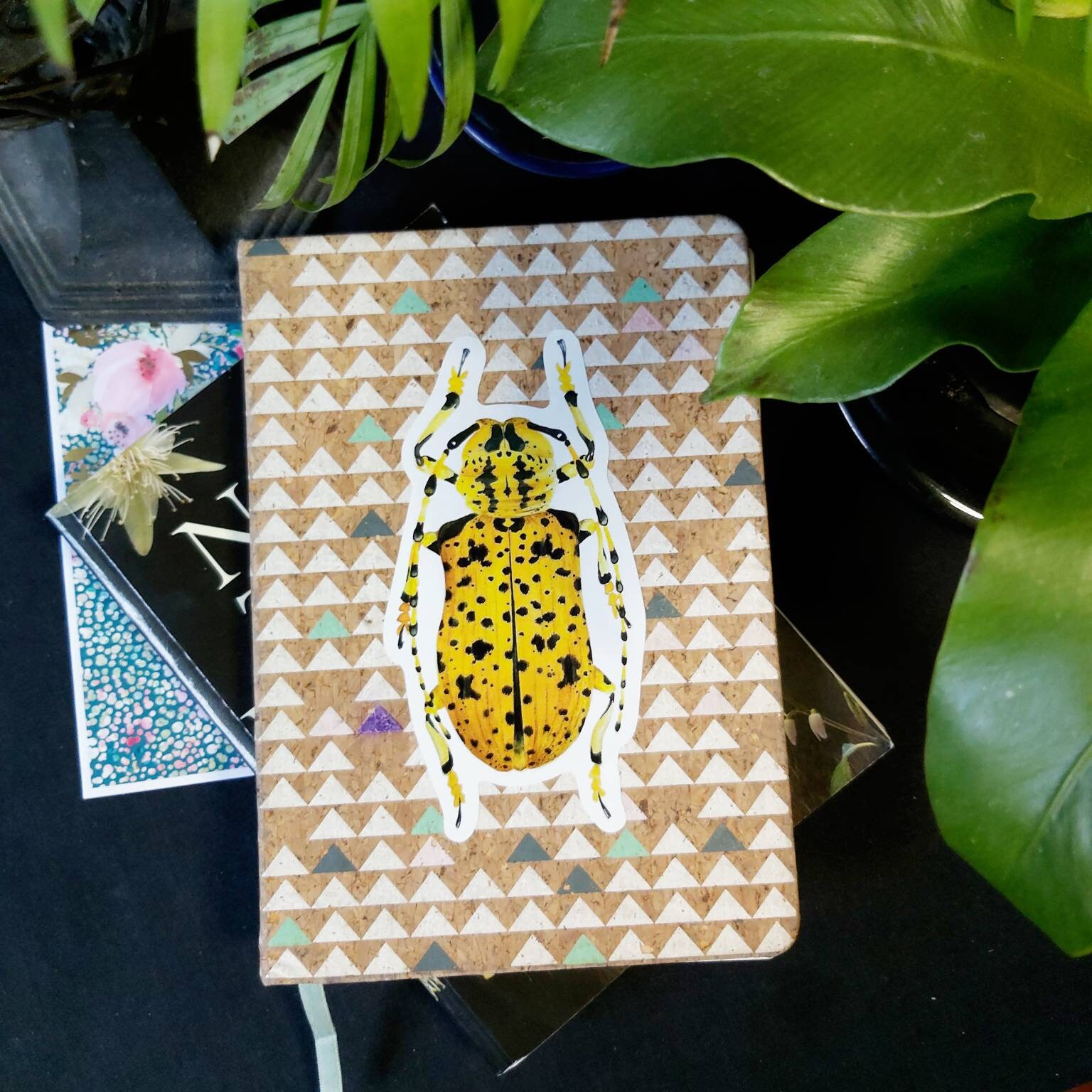 Longicorn Beetle Vinyl Sticker Entomology Stationary - Etsy