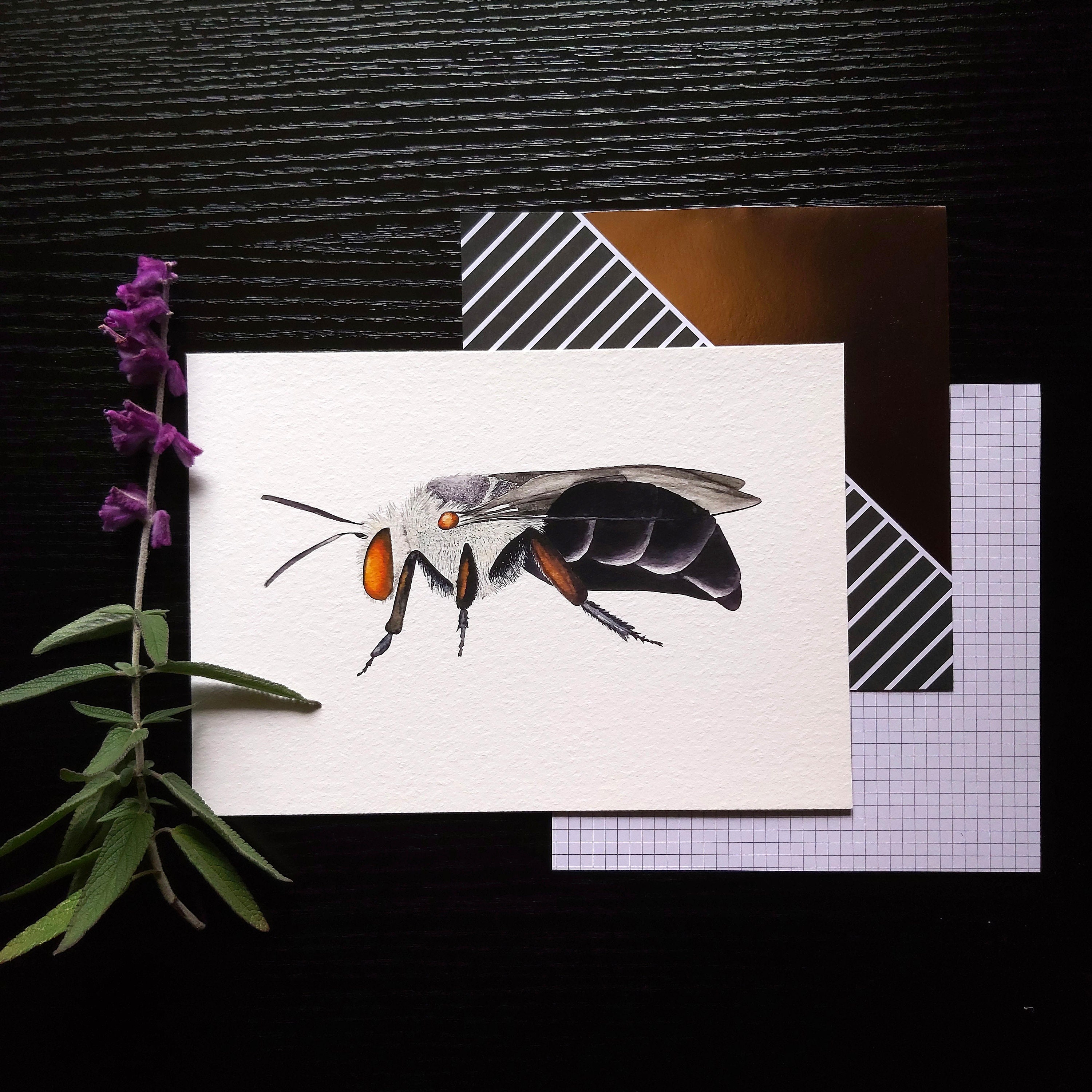 Native Bee Illustration Quality Art Print A5 21x14.7cm - Etsy UK