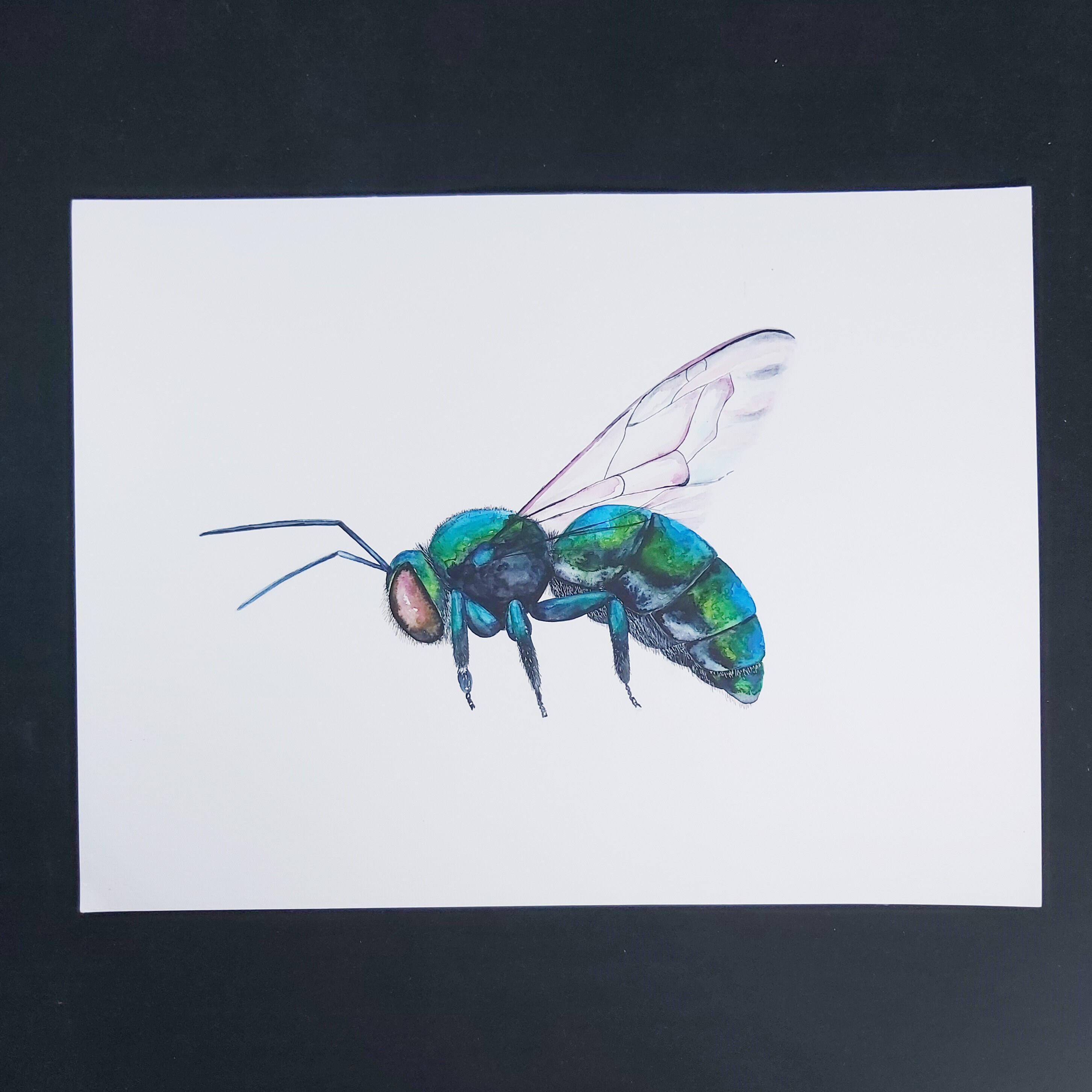 Original Bee Painting Green Carpenter Bee Australian - Etsy