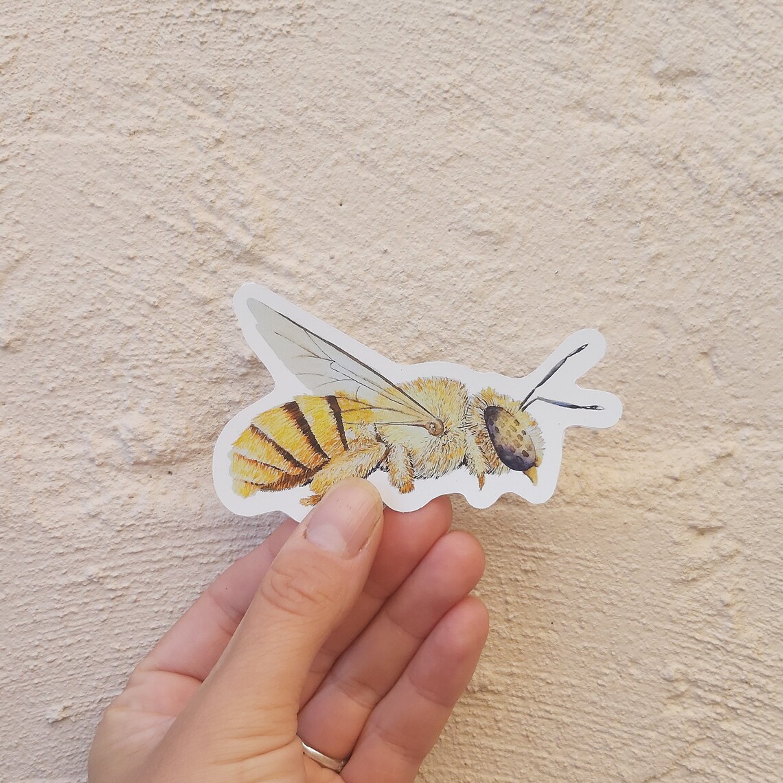 Australian Bees Insect Sticker Pack Vinyl Laptop Stickers - Etsy