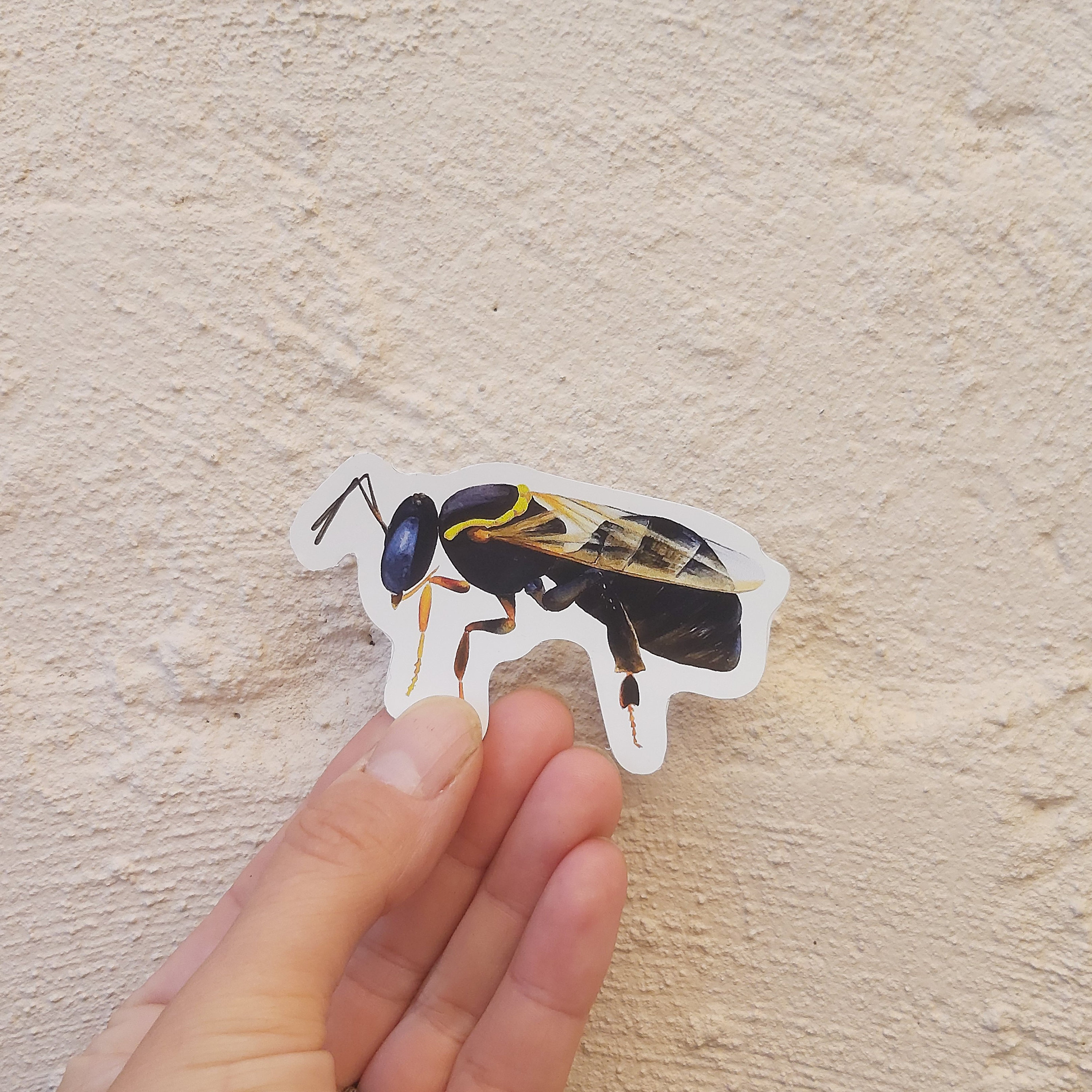 Australian Bees Insect Sticker Pack Vinyl Laptop Stickers - Etsy