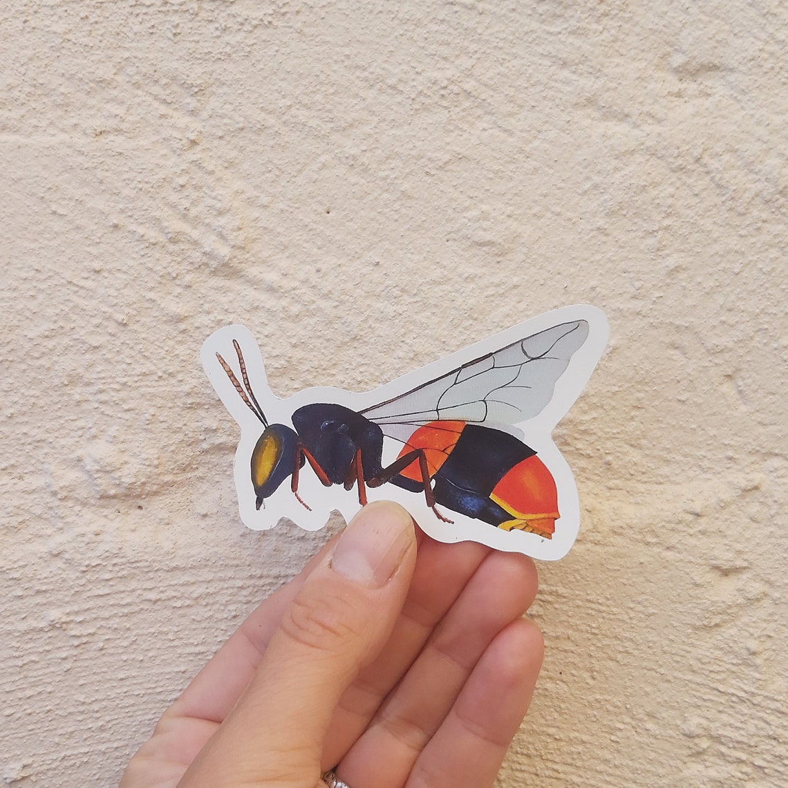 Australian Bees Insect Sticker Pack Vinyl Laptop Stickers - Etsy