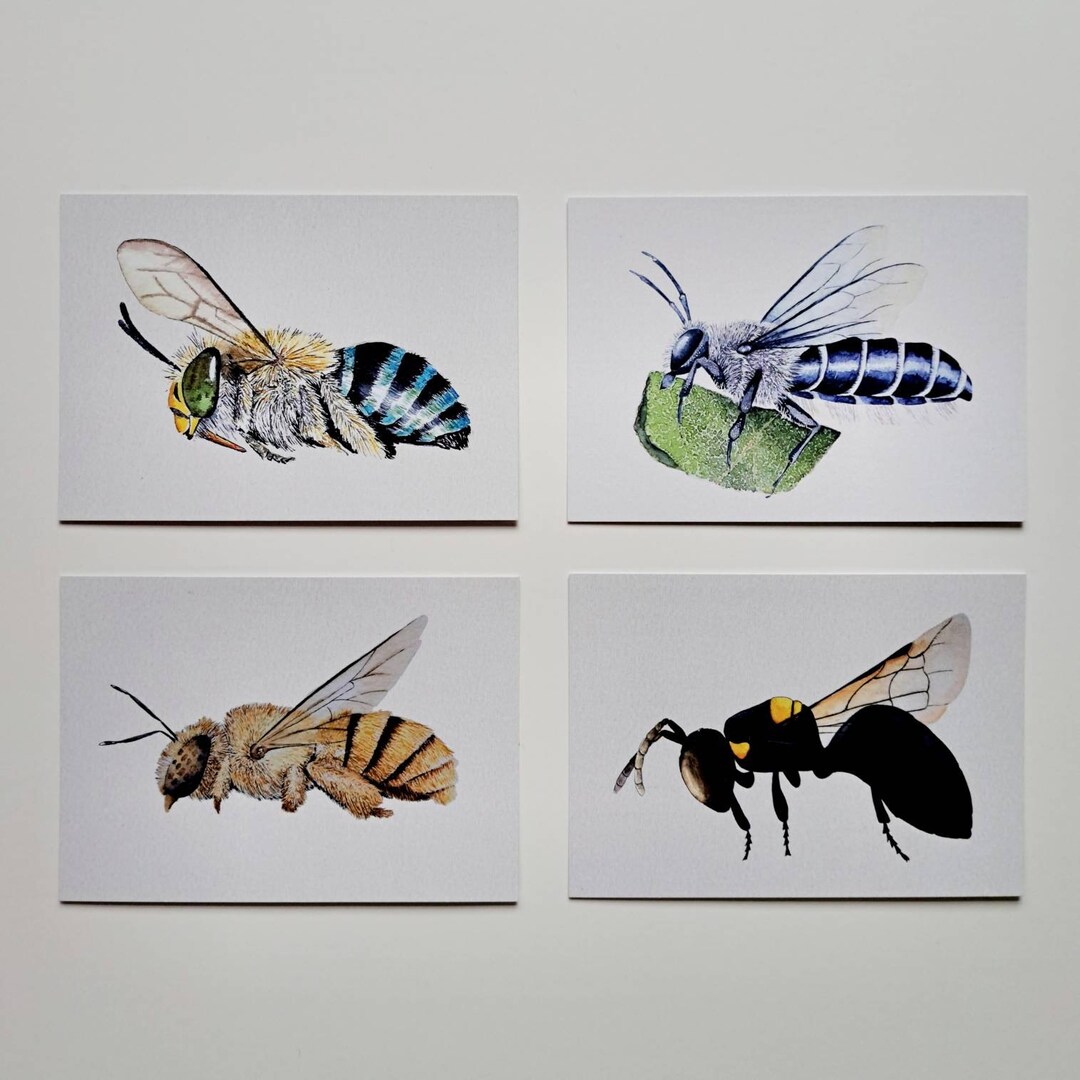 Victorian Bees Postcard | 4 Pack | Mini Prints | Australian Wildlife ...