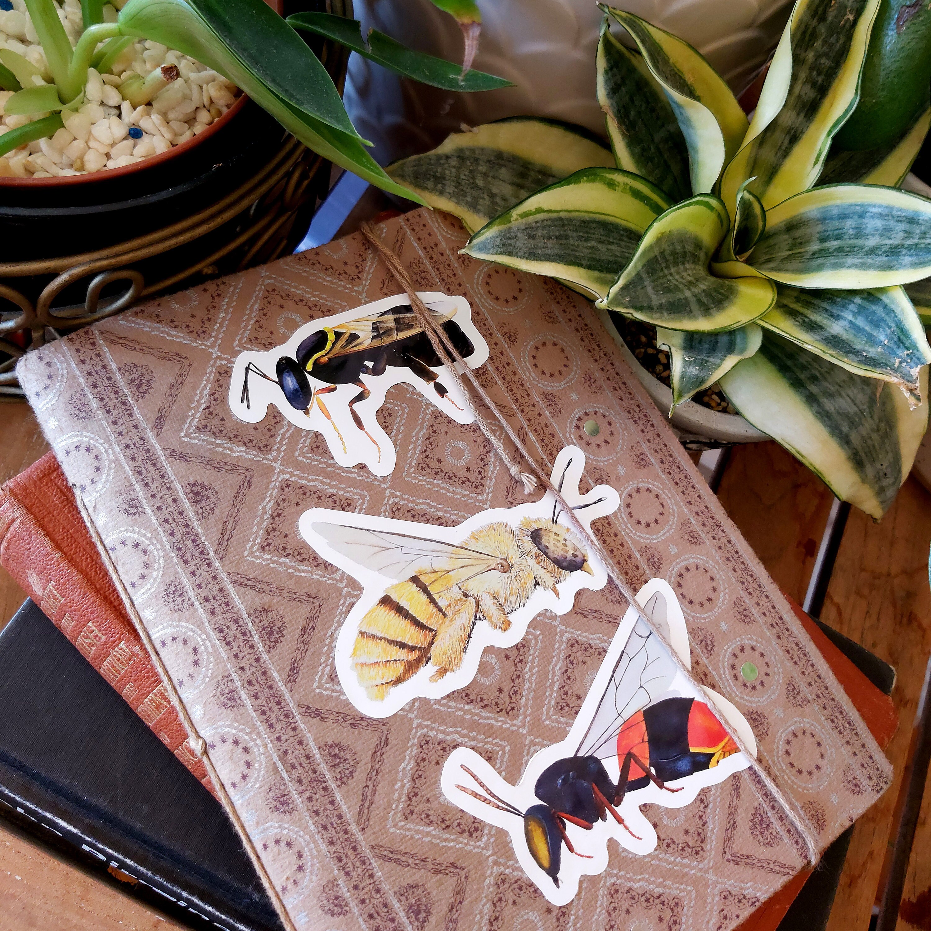 Australian Bees Insect Sticker Pack Vinyl Laptop Stickers - Etsy