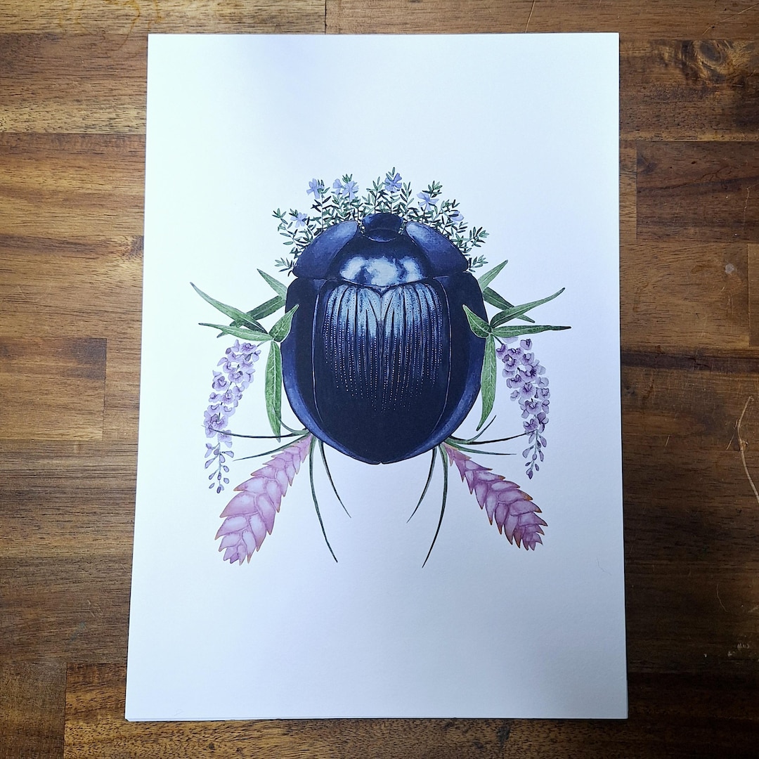 Beetle Watercolor Painting Art Print: Australian Insect Illustration ...