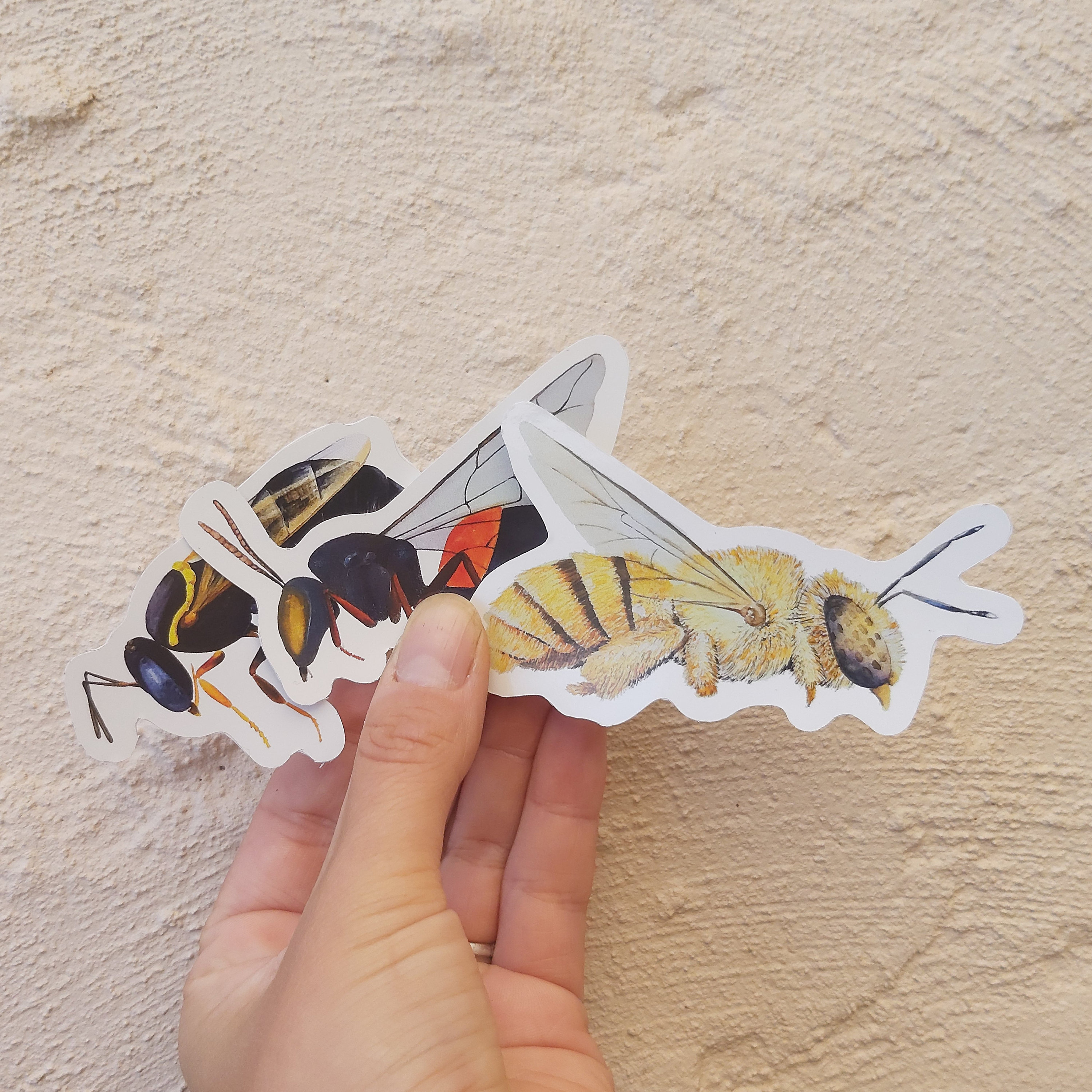 Australian Bees Insect Sticker Pack Vinyl Laptop Stickers - Etsy