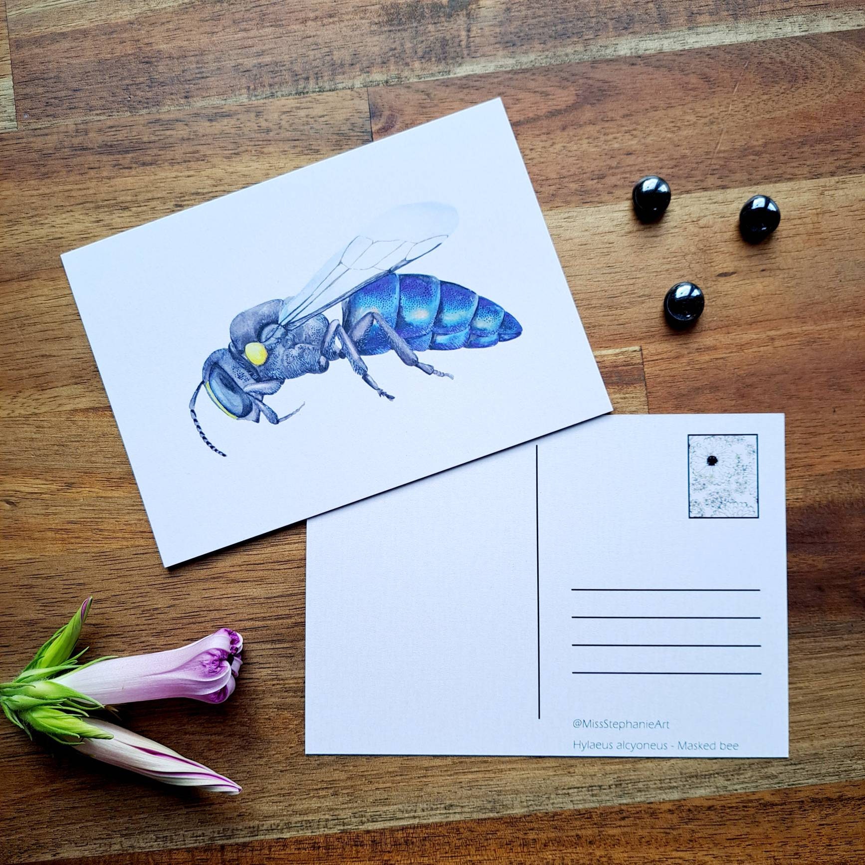 Nsw Bee Postcard | 4 Pack | Mini Prints | Australian Wildlife ...