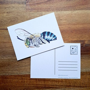 Victorian Bees Postcard | 4 Pack | Mini Prints | Australian Wildlife ...