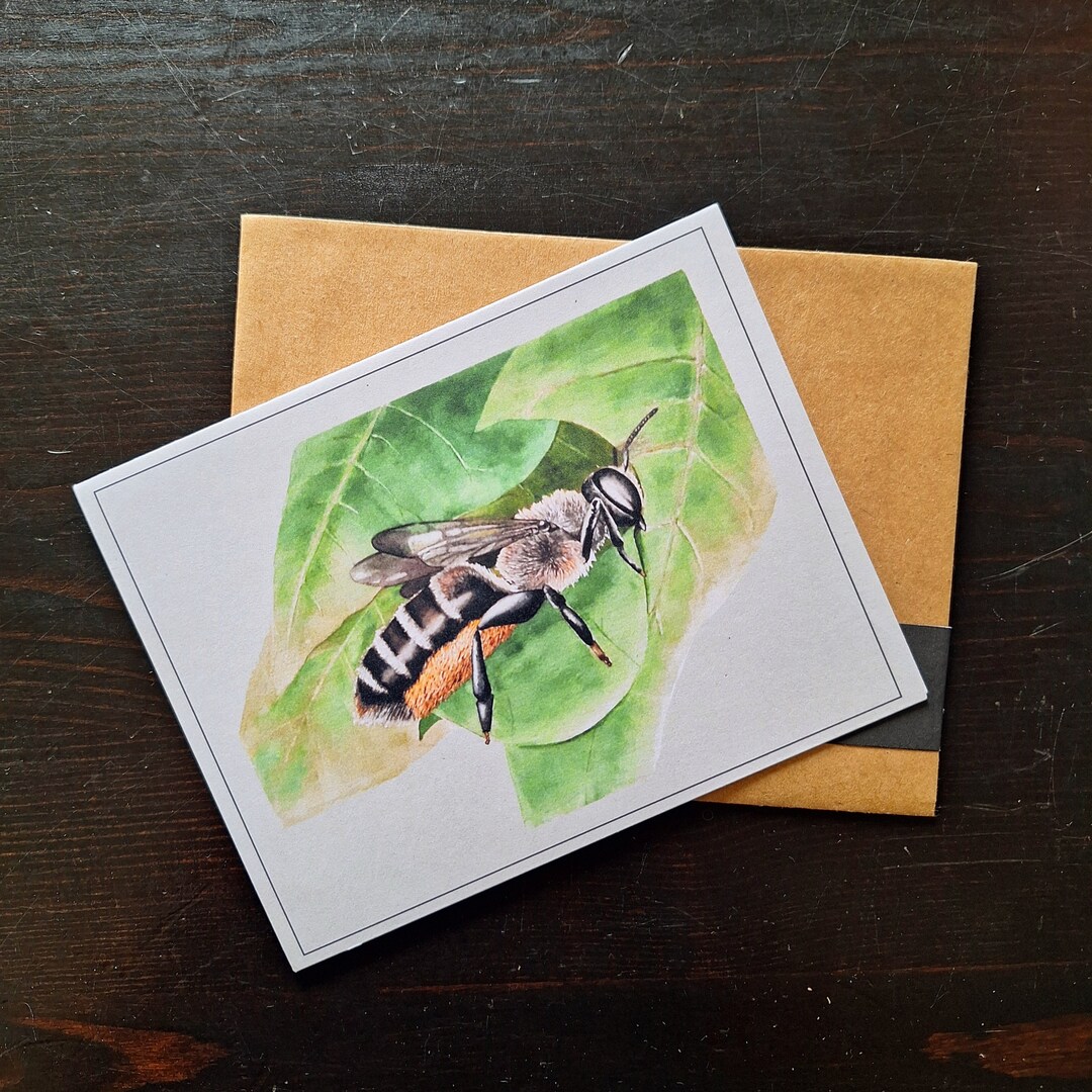 Native Bee Card With Envelope - Blank Inside (leaf Cutter Bee) | Bug ...
