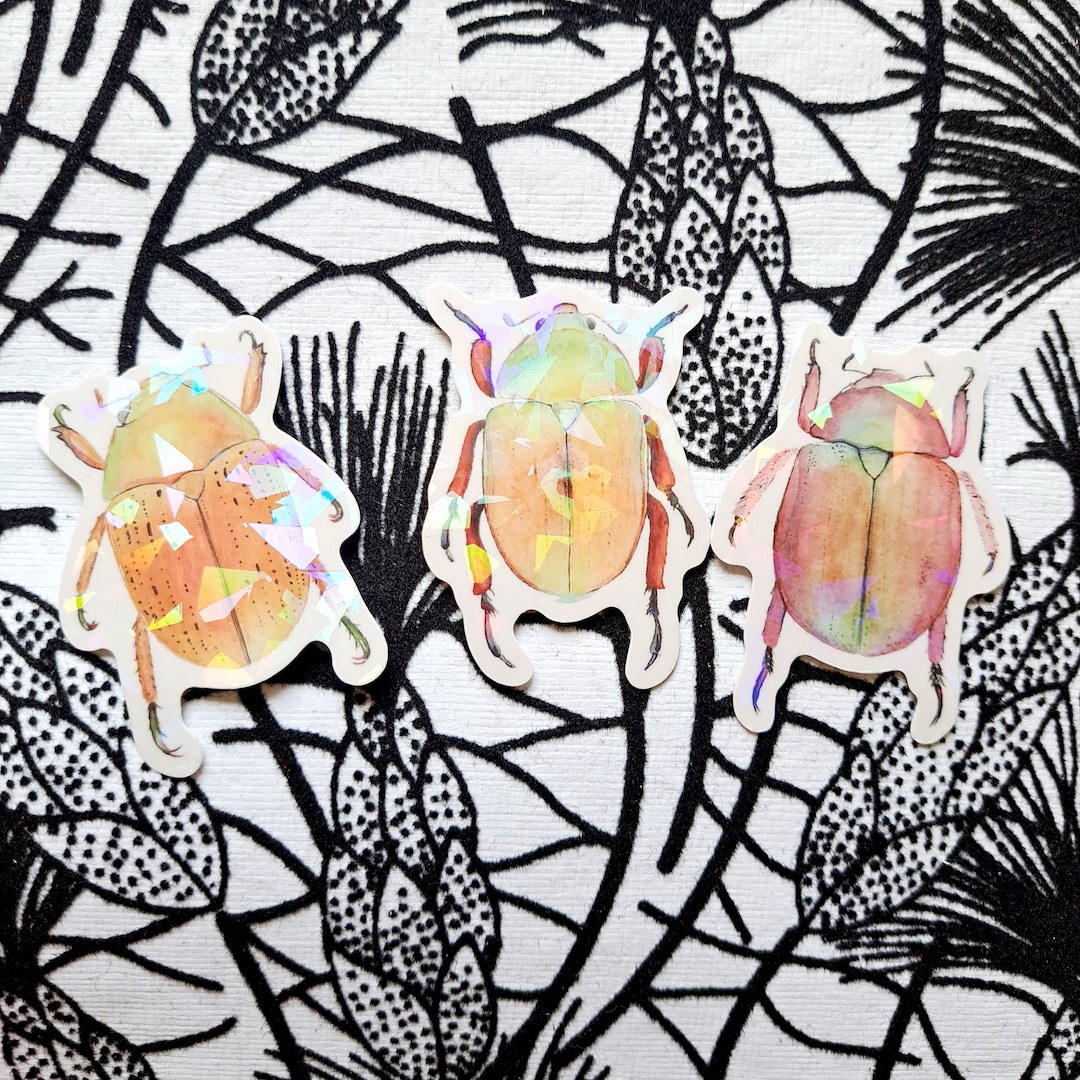 Christmas Beetle Insect Sticker Pack | Vinyl Laptop Stickers | Long ...