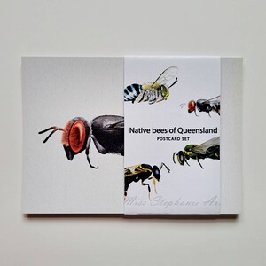 Queensland Postcard Set - Native Australian Bees | Mini Prints 4 Pack ...