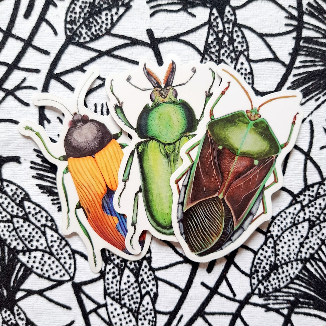 Australian Beetle Insect Sticker Pack | Vinyl Laptop Stickers | Long ...