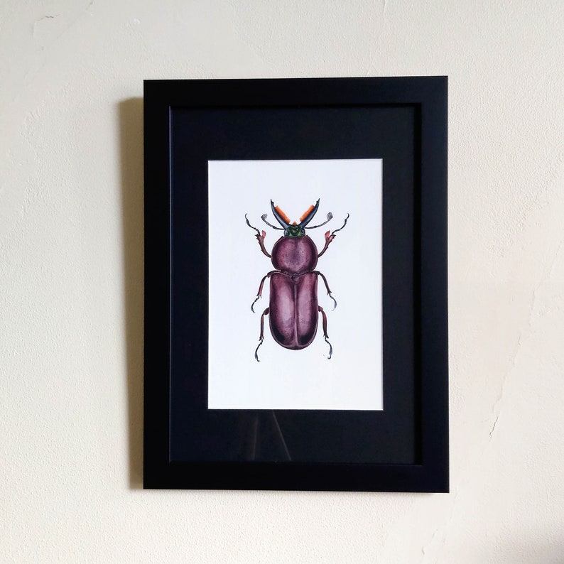 Native Stag Beetle Original Watercolour Painting 29.7 X 21cm Nature ...