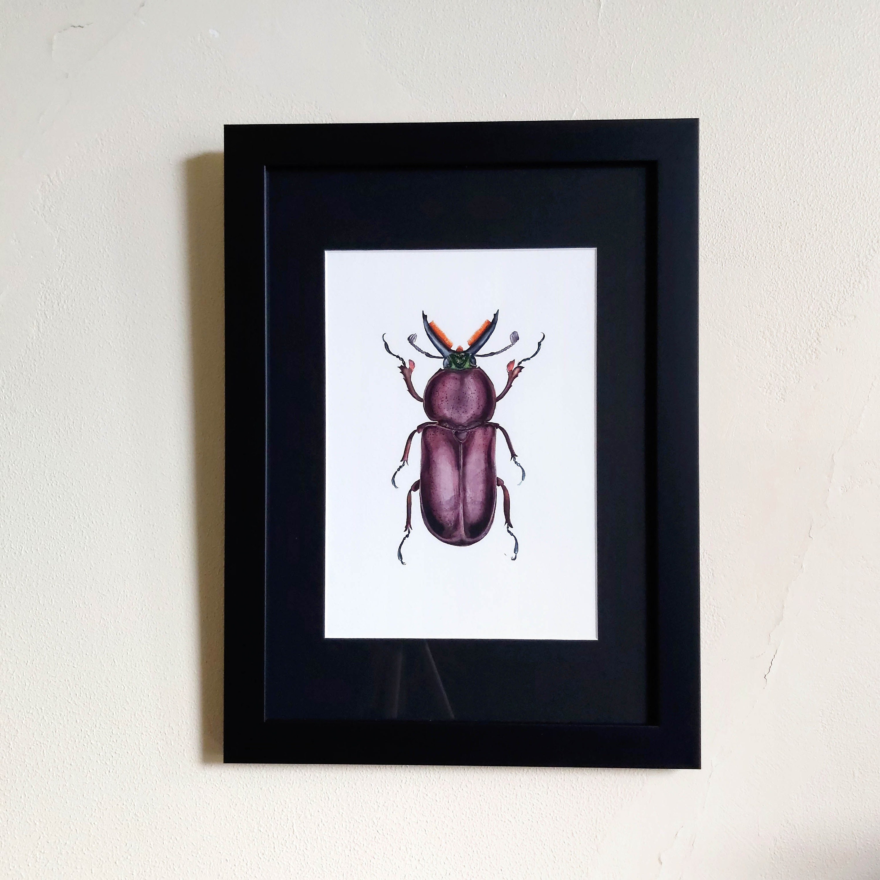 Native Stag Beetle Original Watercolour Painting 29.7 X 21cm Nature ...