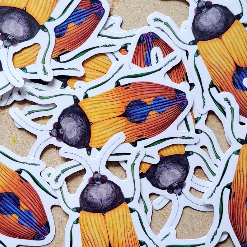 Australian Beetle Insect Sticker Pack | Vinyl Laptop Stickers | Long ...
