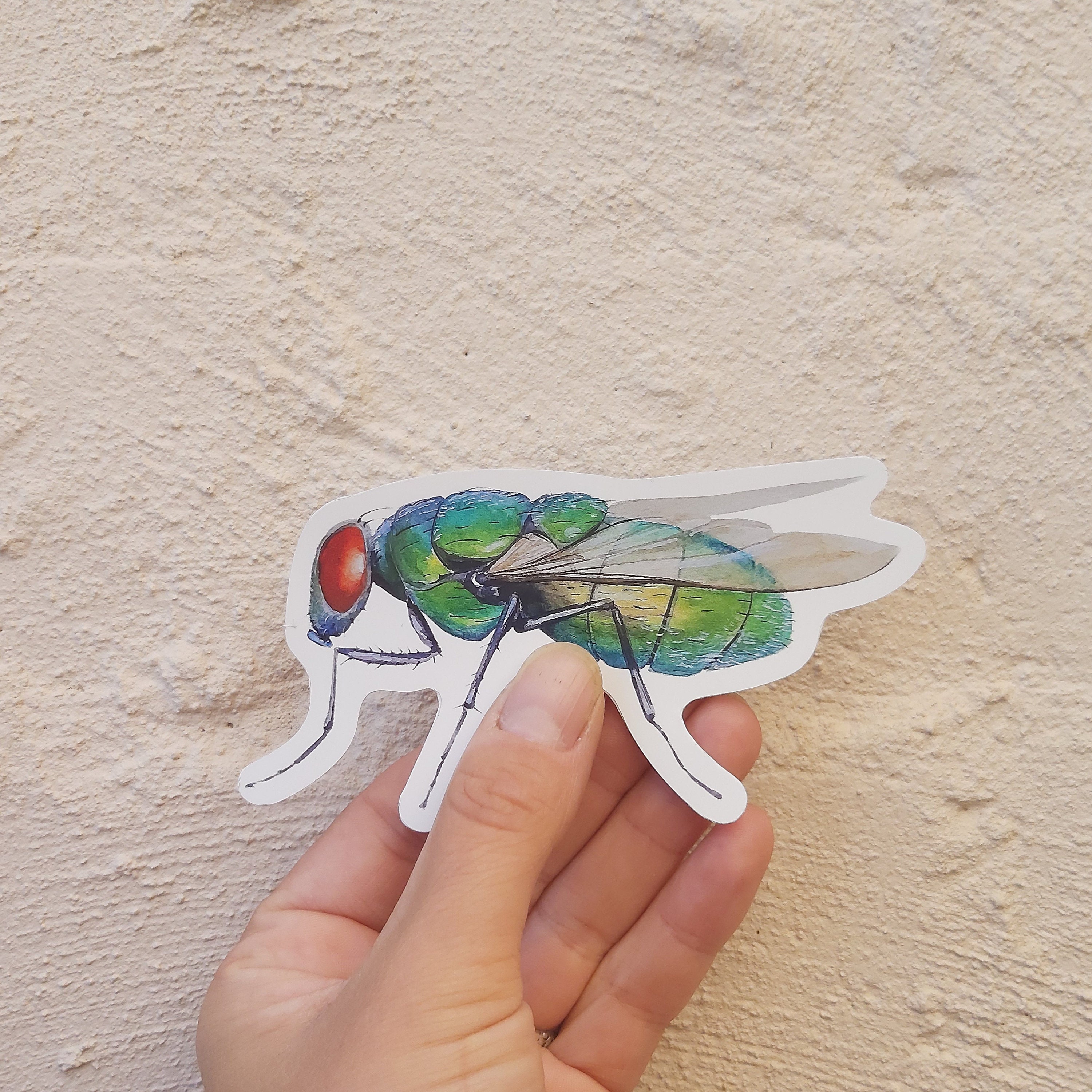 Blow Fly Vinyl Sticker Die-cut Insect Stationary - Etsy UK