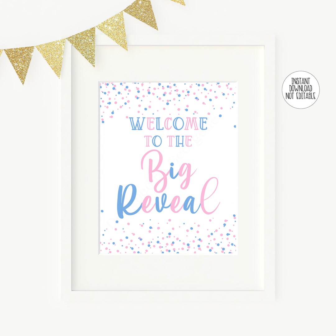 Pink Blue Welcome to the Big Reveal Sign Gender Reveal Sign - Etsy