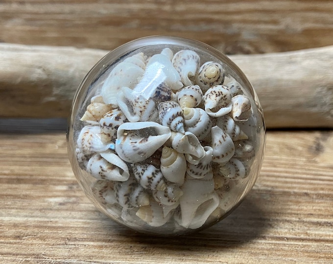 Glass Seashell Filled Dome Knobs - Clear Glass Knob Filled With Seashells Drawer Pull - Beach ...