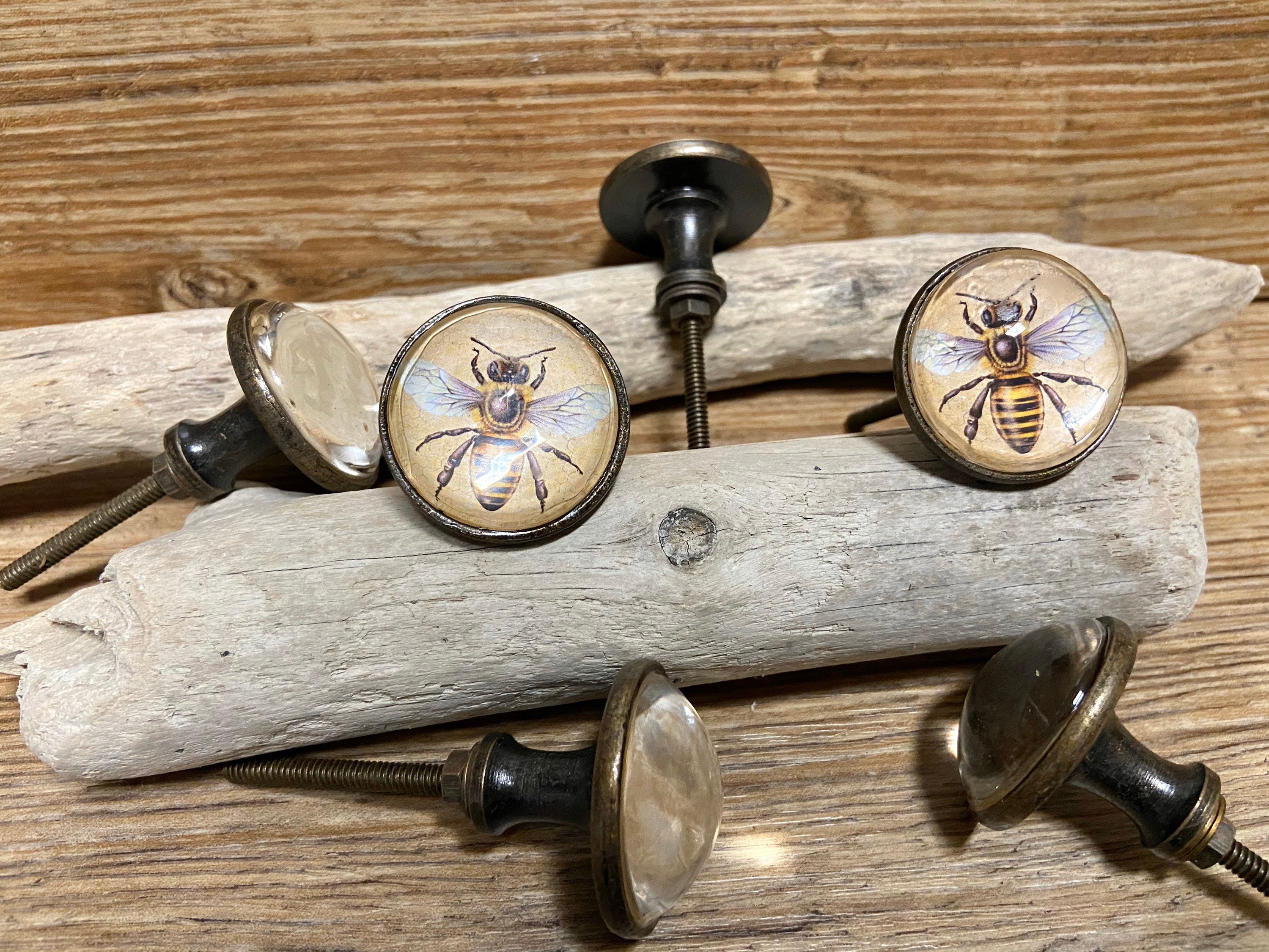 SET of 4 Bumble Bee Glass Face Knob Honeybee Cabinet Knob - Etsy