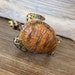 Set of 2 Sea Turtle Drawer Knobs Ceramic Turtle Shell Knob Beach ...