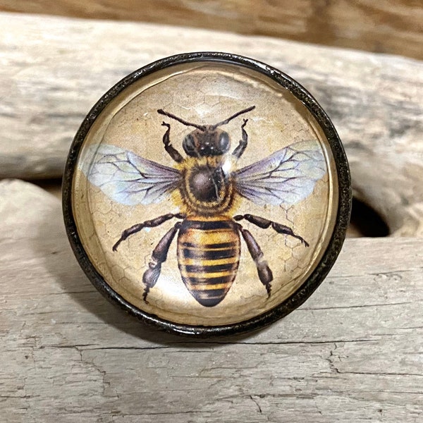 Bee Drawer Pulls - Etsy