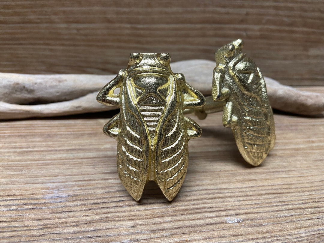 Set of 2 Gold Cicada Bug Knobs Insect Cabinet Knob Drawer Pull Nature ...