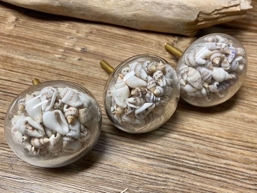 SET OF 4 Glass Seashell Filled Dome Knobs - Clear Glass Knob Filled ...