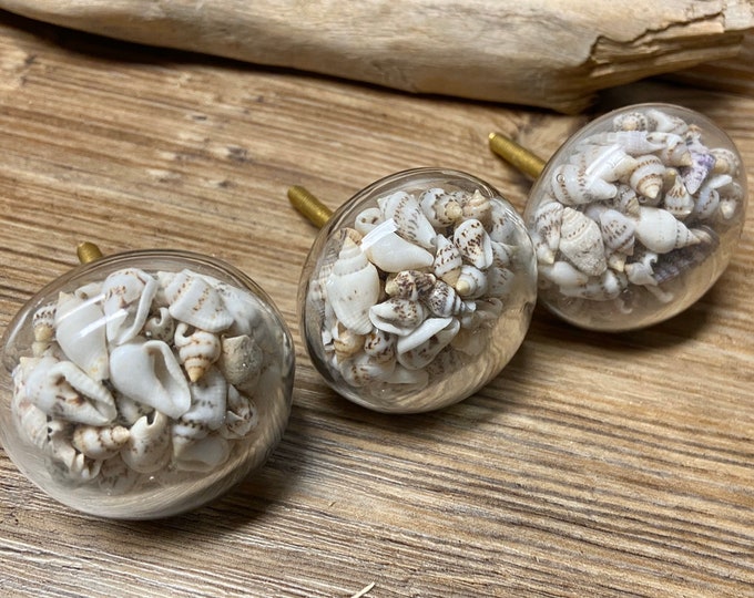 SET OF 4 Glass Seashell Filled Dome Knobs Clear Glass Knob - Etsy