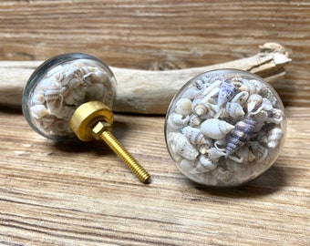 SET OF 4 Glass Seashell Filled Dome Knobs Clear Glass Knob - Etsy