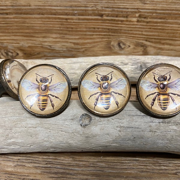 Bee Drawer Pulls - Etsy