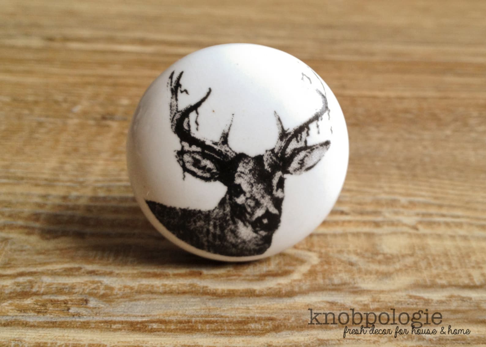 White and Black Deer Antler Knob - Nature Buck Forest Theme ...