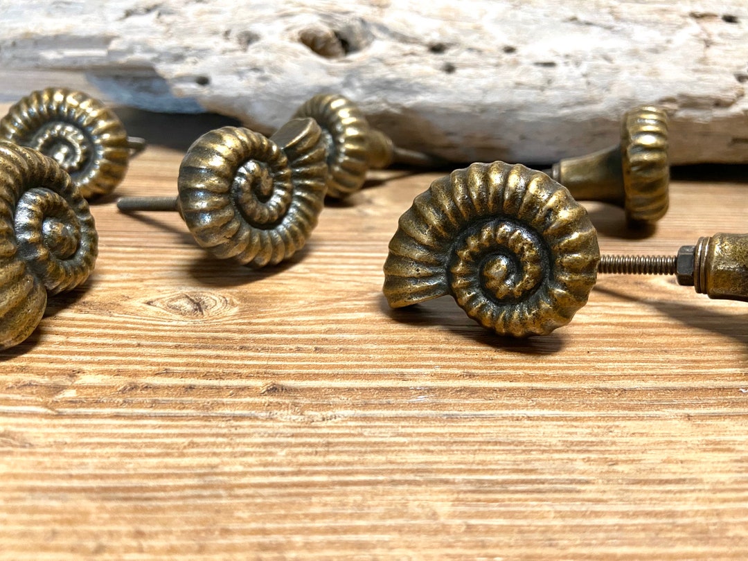 SET OF 8 Nautilus Seashell Detailed Metal Knob - Bronze Spiral Sea Shell Drawer Pull - Beach ...