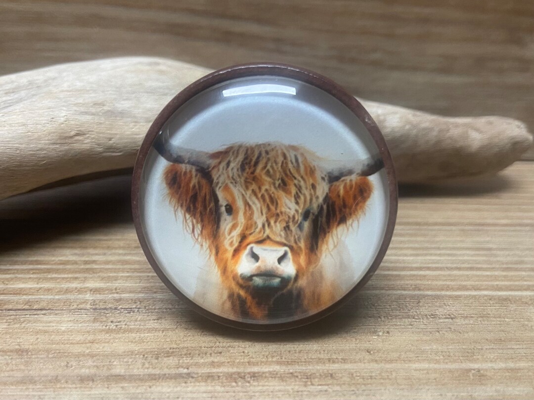 Highland Cow Knob - Brown - Cute Cow Head Drawer Pull - Farm Animal ...