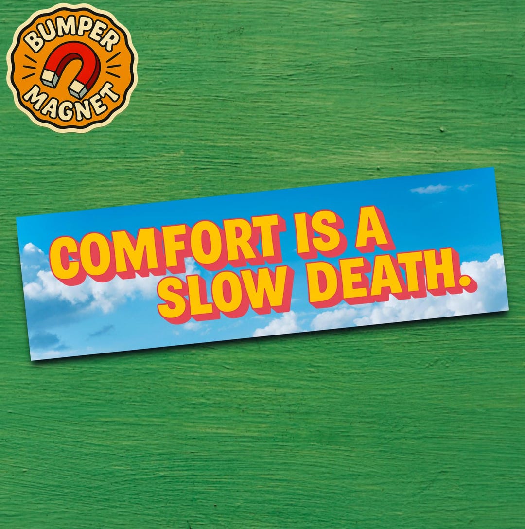 Funny Motivational Bumper Magnet for Car or Laptop Gift for Risk Takers ...