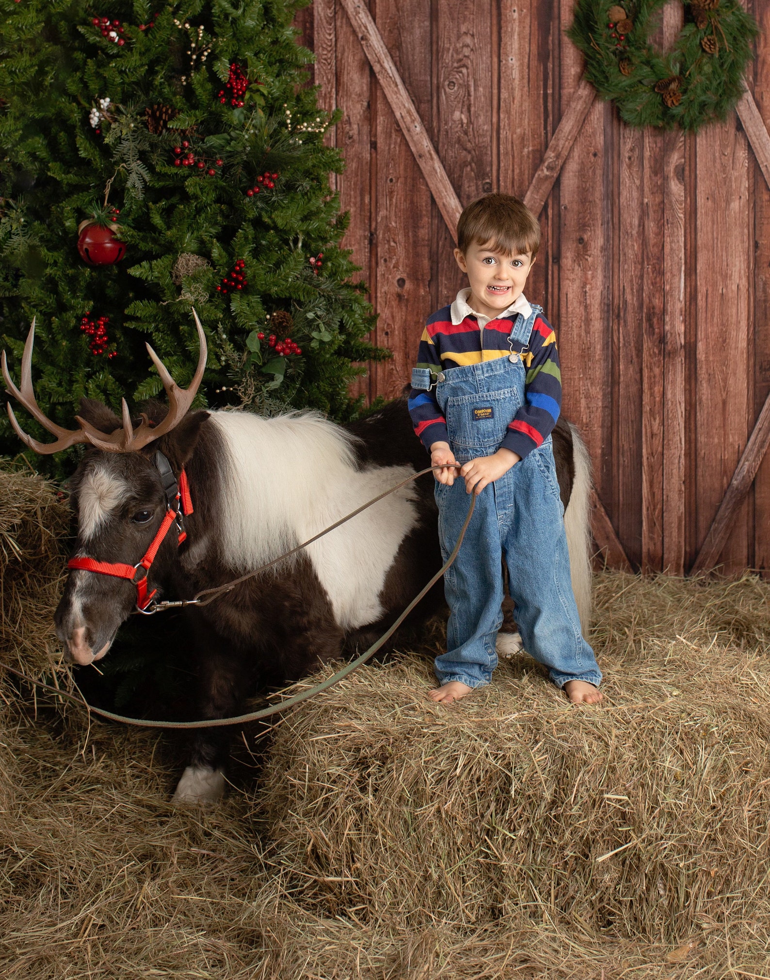 3D Printed Horse Reindeer Antlers, Lightweight Halter Attachment - Etsy