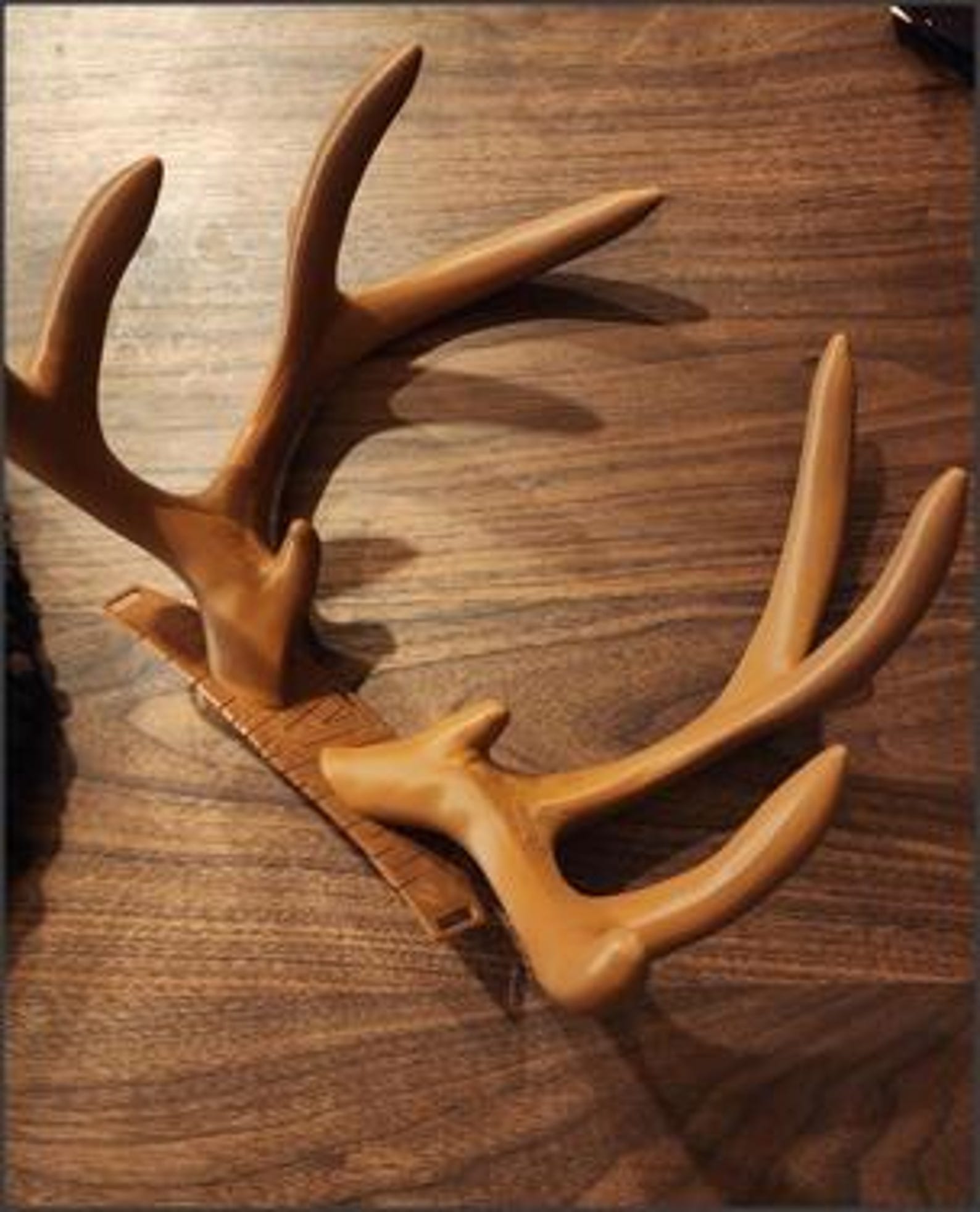 3D Printed Horse Reindeer Antlers, Lightweight Halter Attachment - Etsy