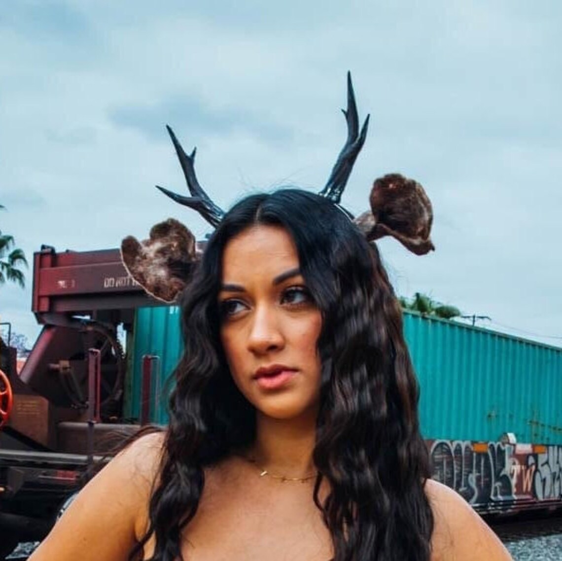 NEW ARRIVAL Realistic Doe / Deer Antlers Horns and Optional - Etsy