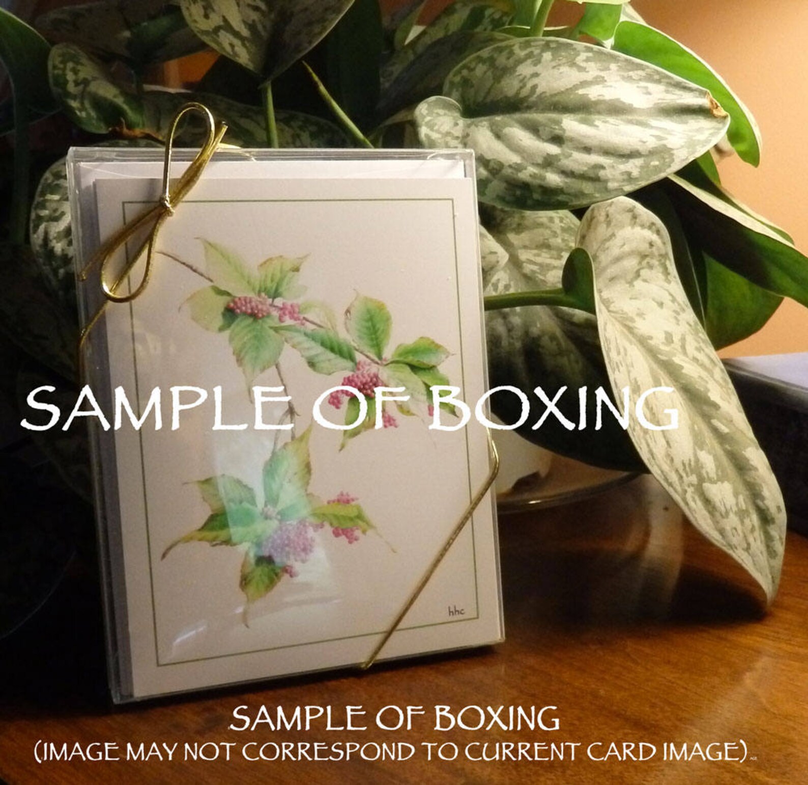 Beet Cards and Prints From Original Ink Drawing - Etsy