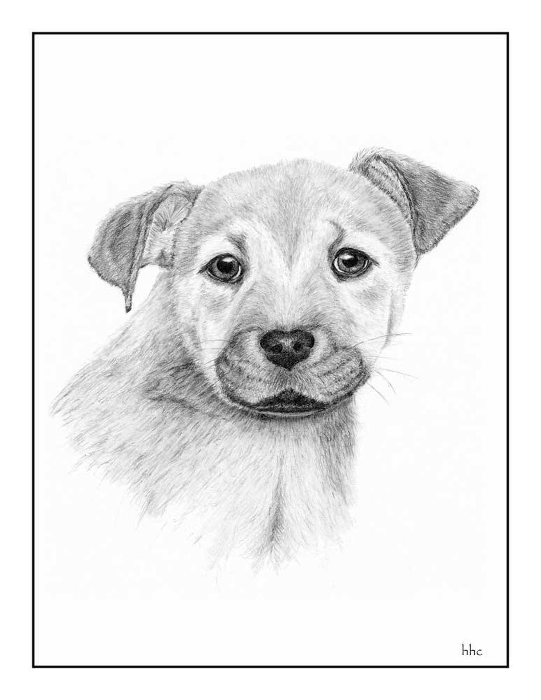 Mutt Pup Cards & Prints From Original Graphite Drawing - Etsy