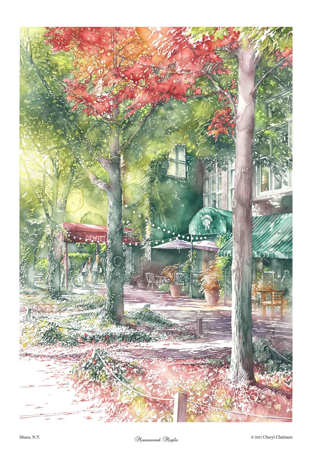 Ithaca N.Y. Moosewood Maple Autumn Watercolor Print: Wall Art (12" X 18 ...